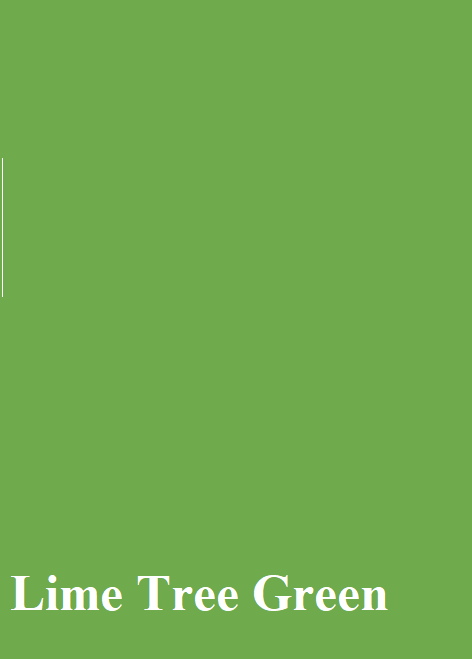 Oracal 651 – Permanent Outdoor Adhesive Vinyl - Lime-Tree Green - 063 ...